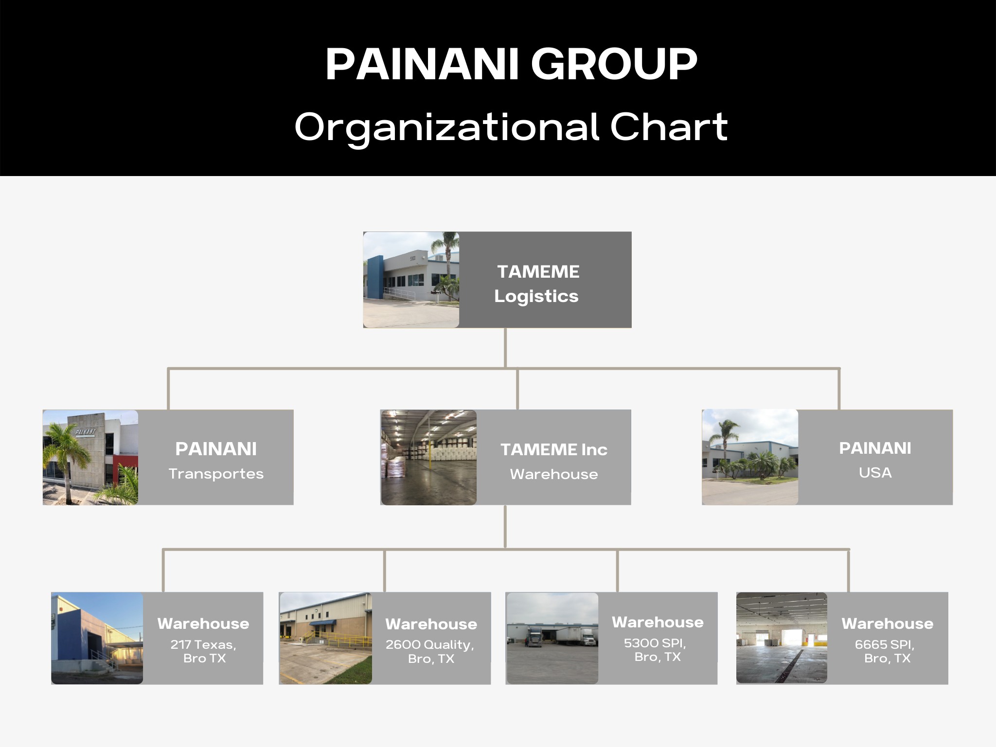 About Us – Painani Group – Servicios de Carga y Almacén